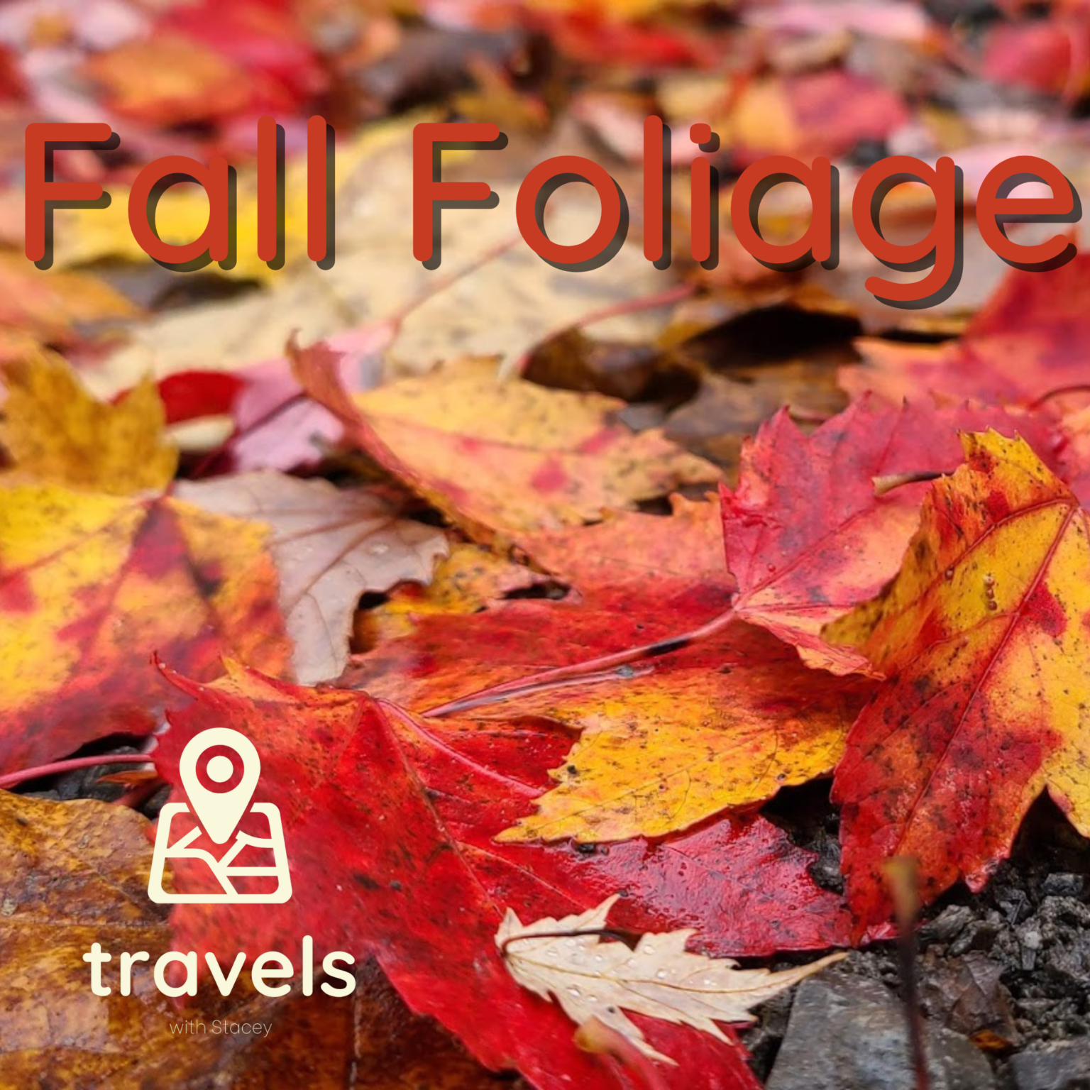 Fall Foliage - Travels With Stacey