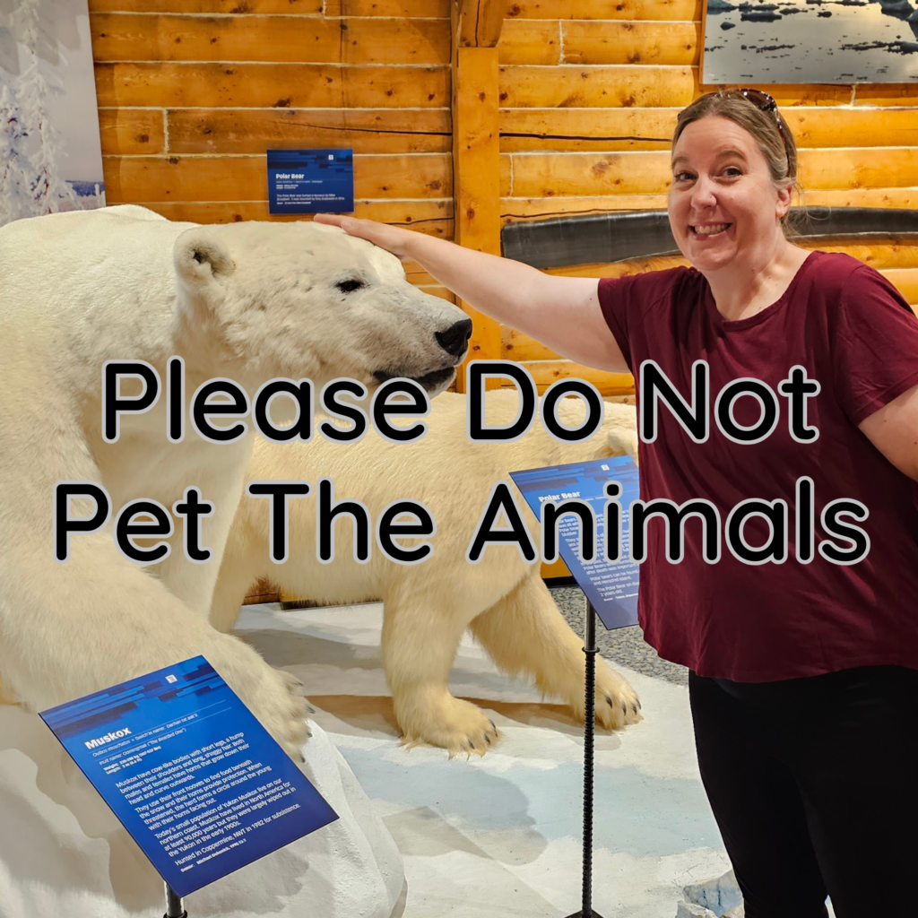 Please Do Not Pet The Animals - Travels With Stacey