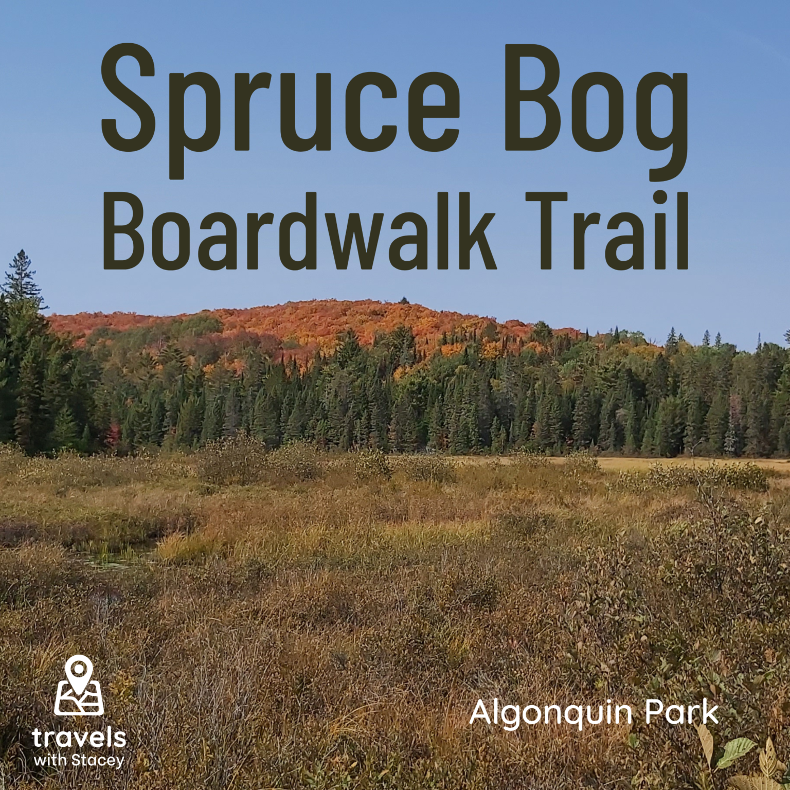 Spruce Bog Boardwalk Trail - Travels With Stacey